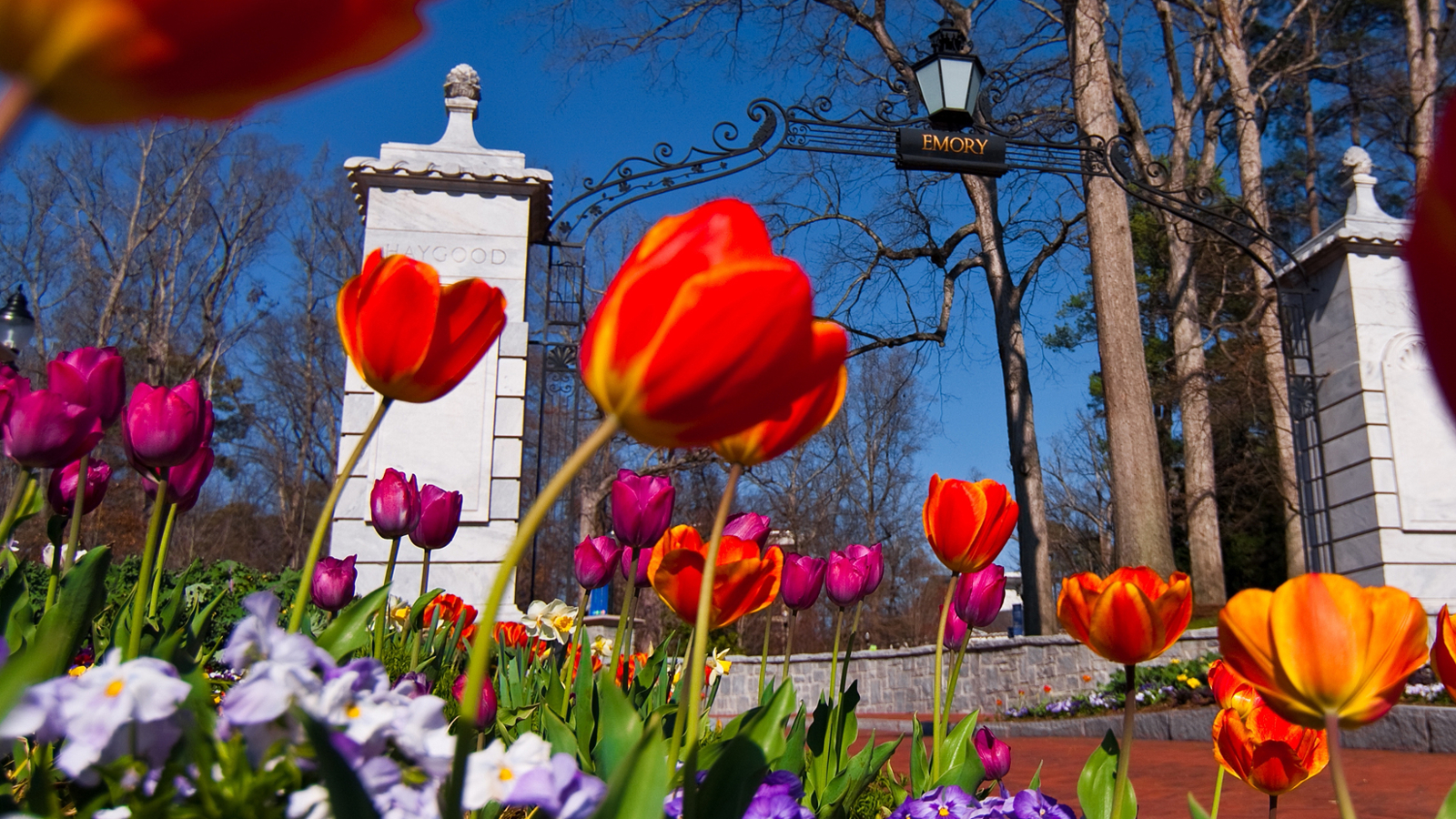 Home | Emory University | Atlanta GA